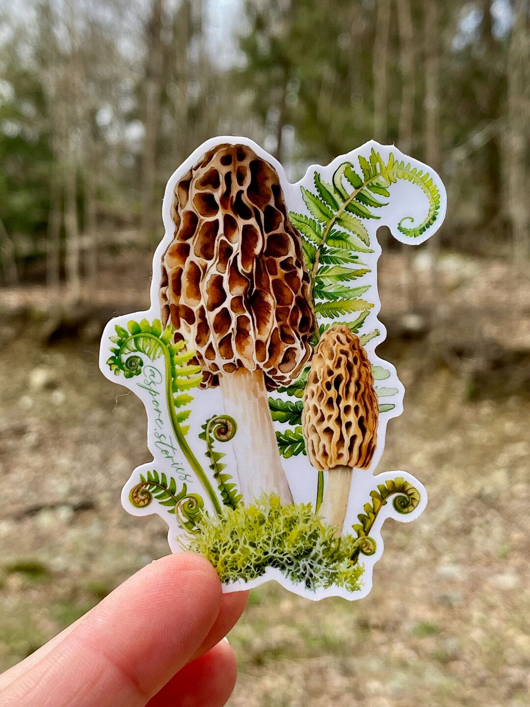 Morel Mushroom Sticker by Spore Stories, Nature Lover, Forager Chef ...