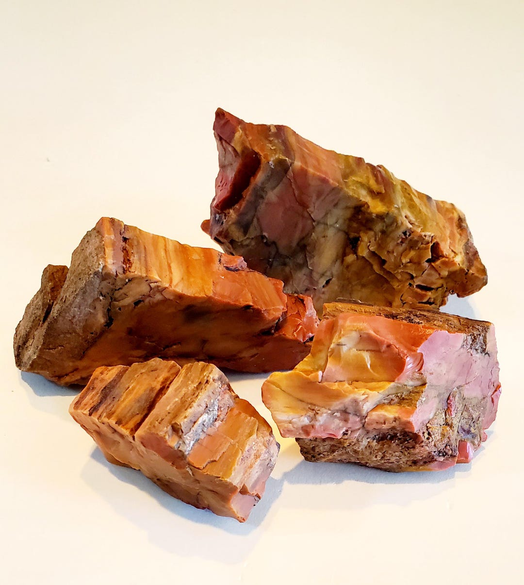 Grupo de 4 rocas petrificadas de colores / Madera fosilizada / Piedras ...