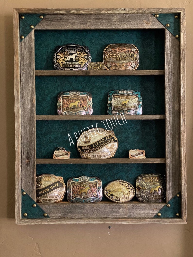 Belt Buckle Display Case - Holds 12 Buckles-teal - Etsy