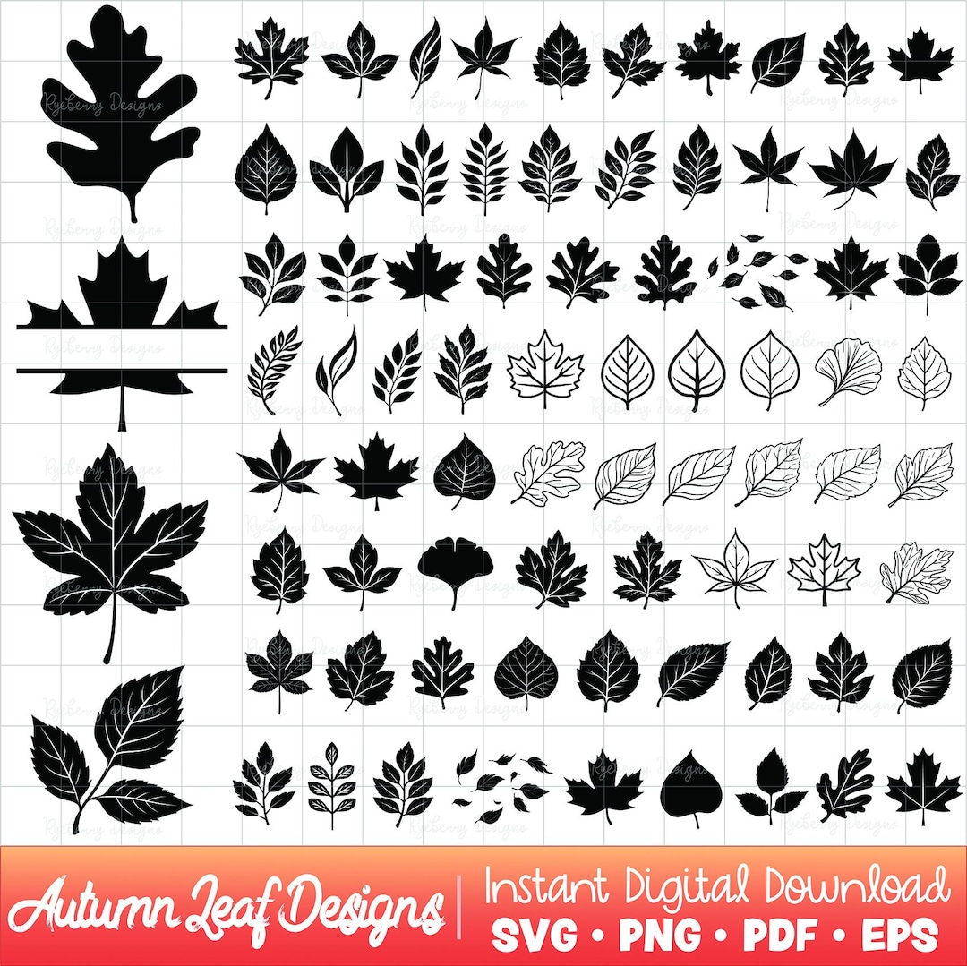 Leaves SVG Bundle, Autumn Leaf SVG, Maple Leaf Png, Leaf Clipart, Fall ...