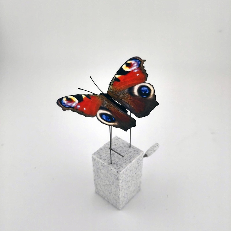 Automaton Kit - Etsy