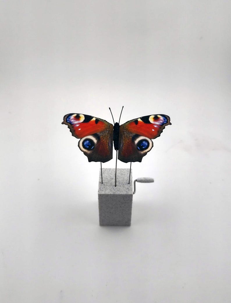 Peacock Butterfly Automata (aglais Io) - Flapping Kinetic Mechanical ...
