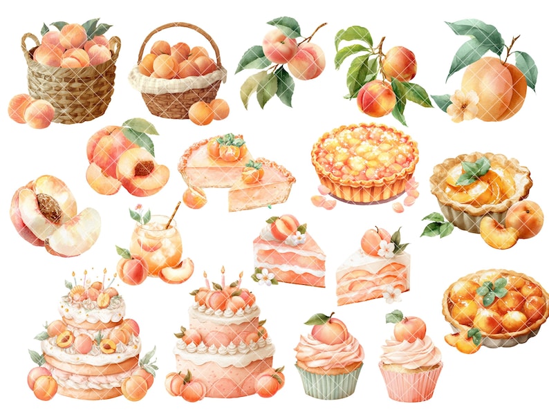 Watercolor Peach Clipart Bundle, Summer Fruit Graphics (instant ...