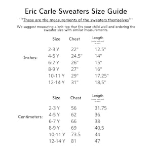 Brown Bear Sweater Brown Bear What Do You See Birthday Party Outfit ...