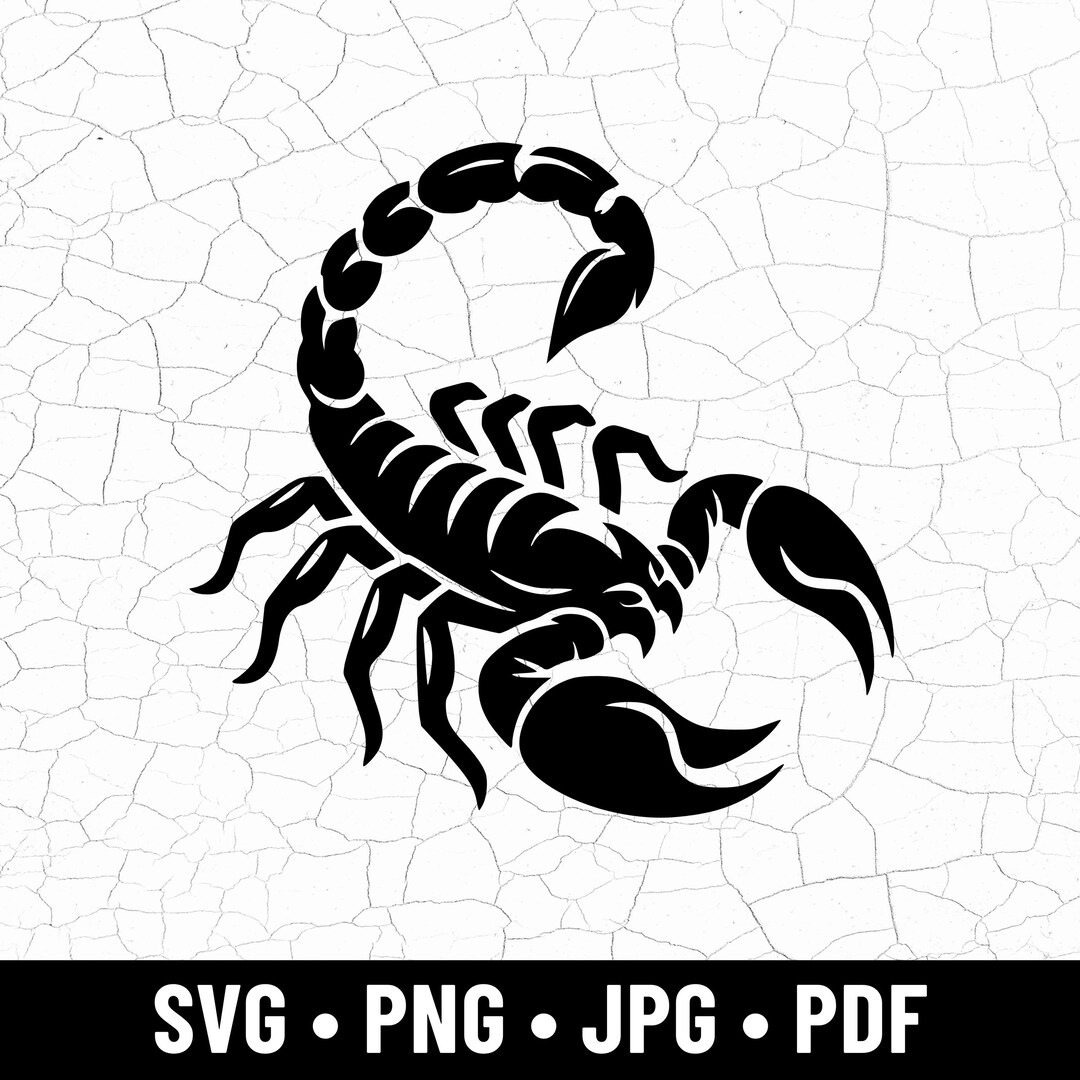 Scorpion SVG, Scorpio Cut Files, Animal Vector Silhouette, Scorpion ...