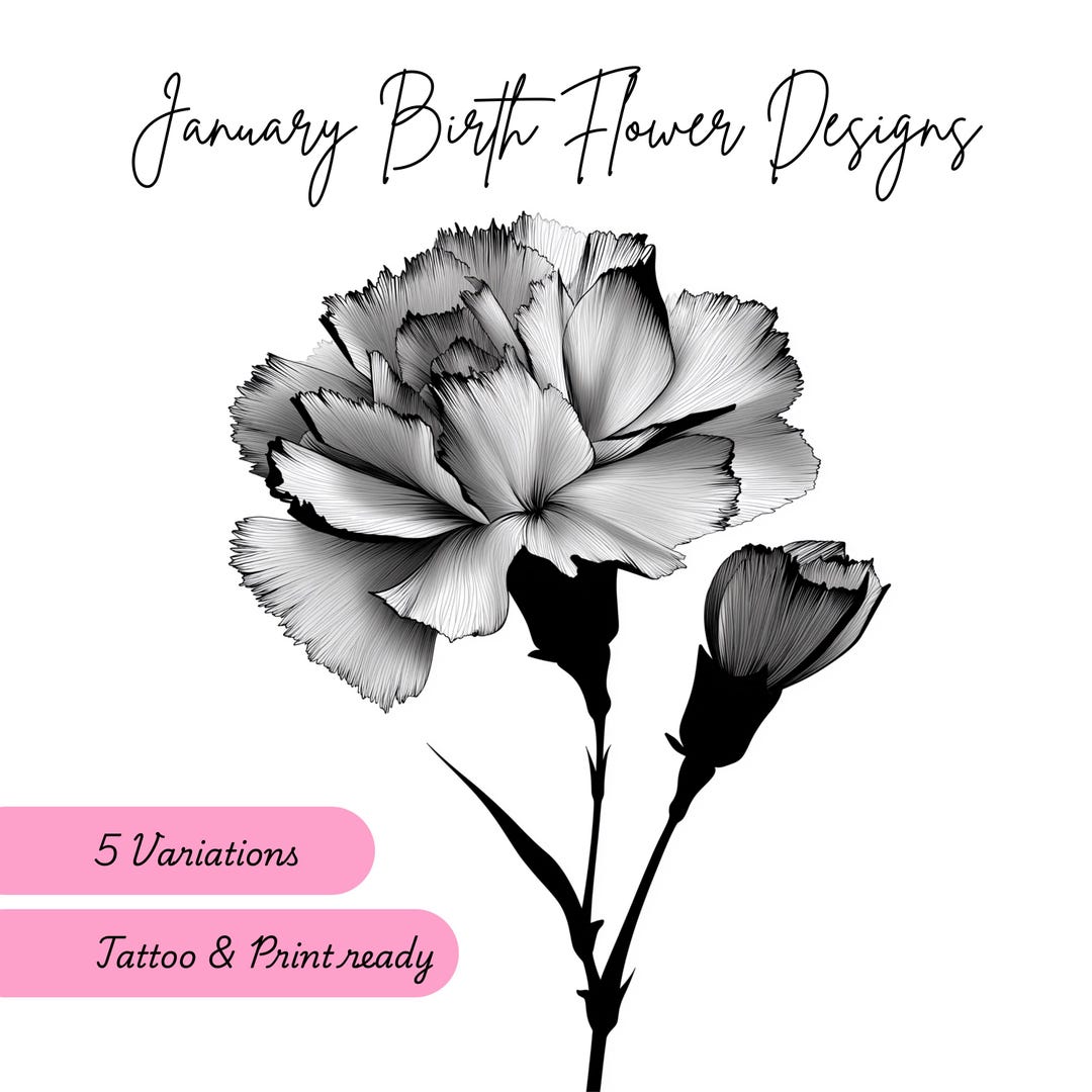 January Birth Flower Design, Carnation Flower, 5 Variations, Floral ...
