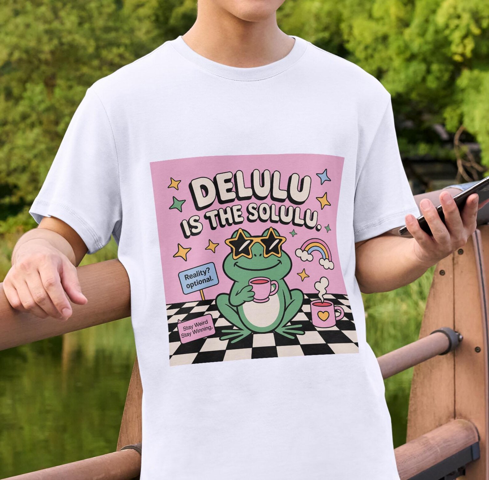 Delulu is the Solulu Frog Print | Funny Meme Wall Art | Retro Aesthetic ...