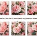 Pastel Pink Floral Digital Paper | Blush Rose Scrapbook Pages ...