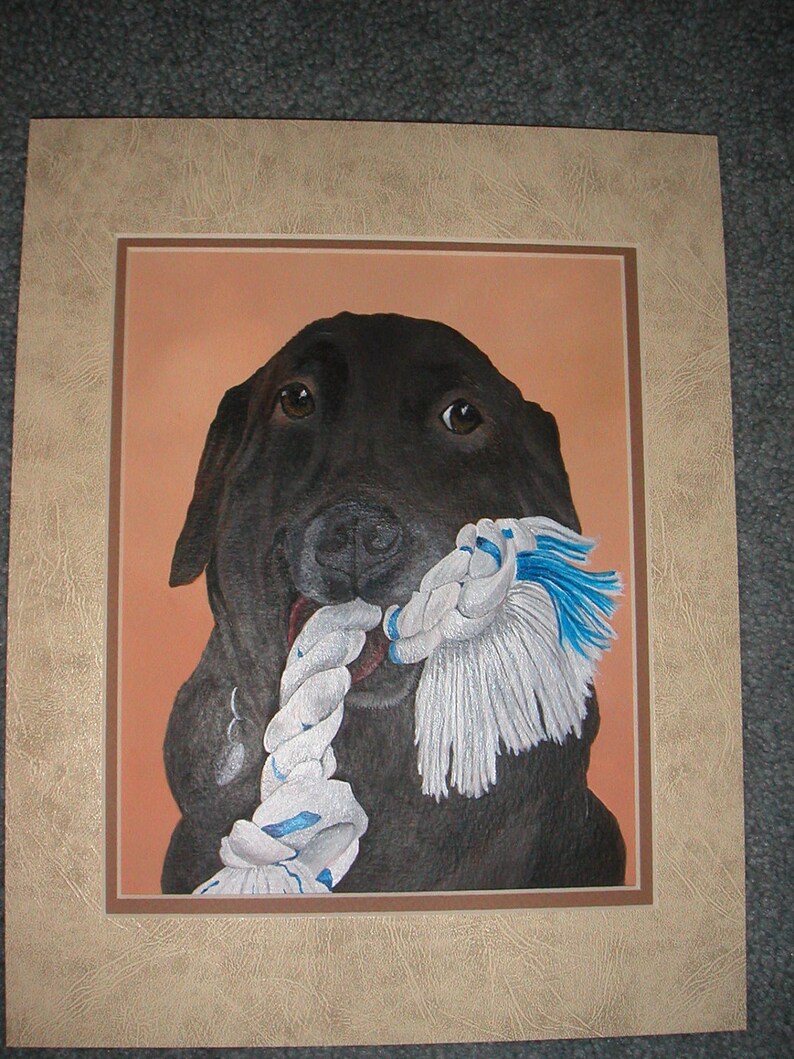 Custom Dog Portraits - Etsy