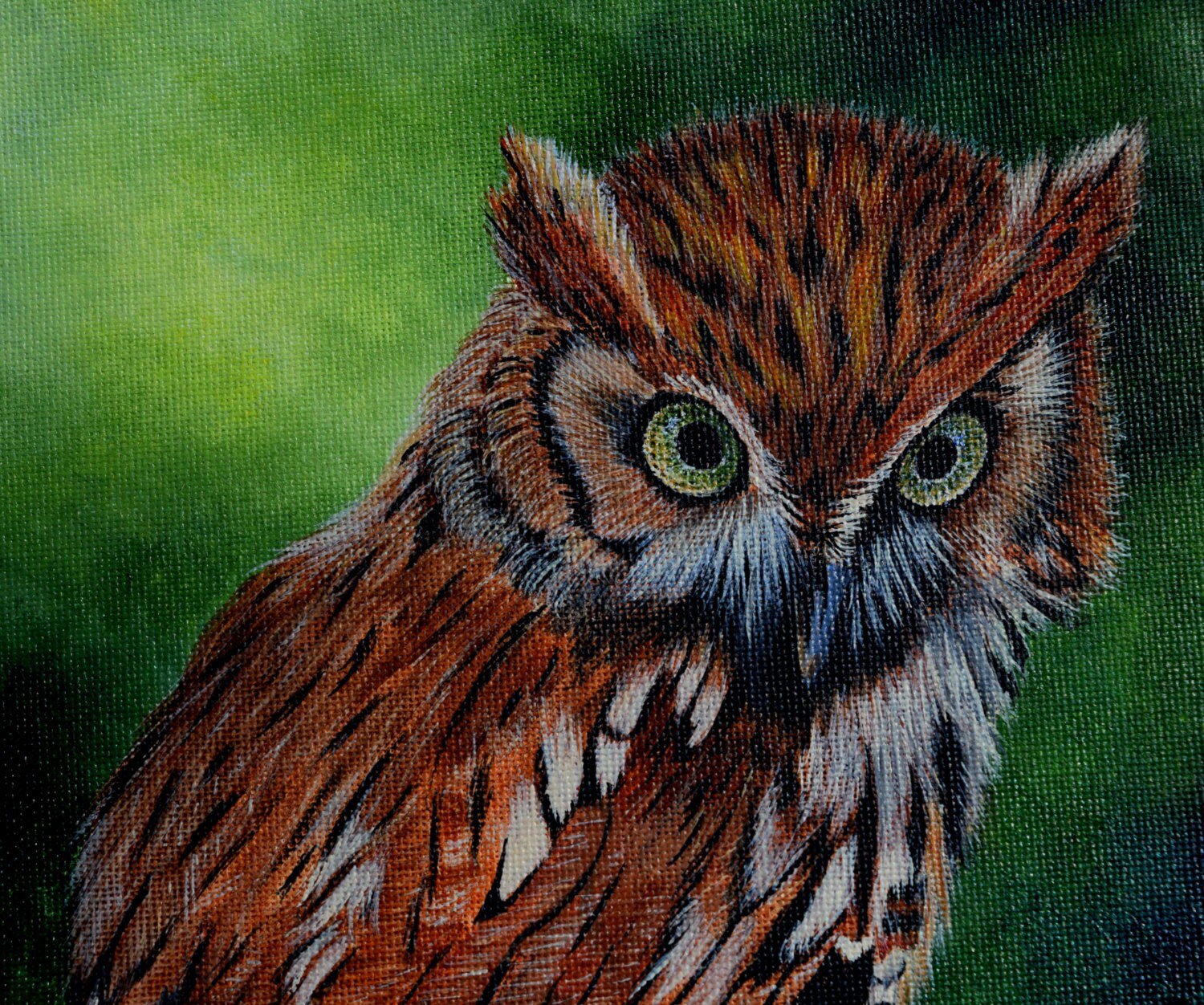 Screech Owl Painting Owl Painting Original Art Wildlife - Etsy