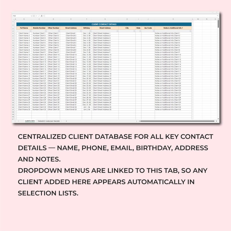 Therapist Caseload Tracker Template, Caseload Tracker Spreadsheet for ...
