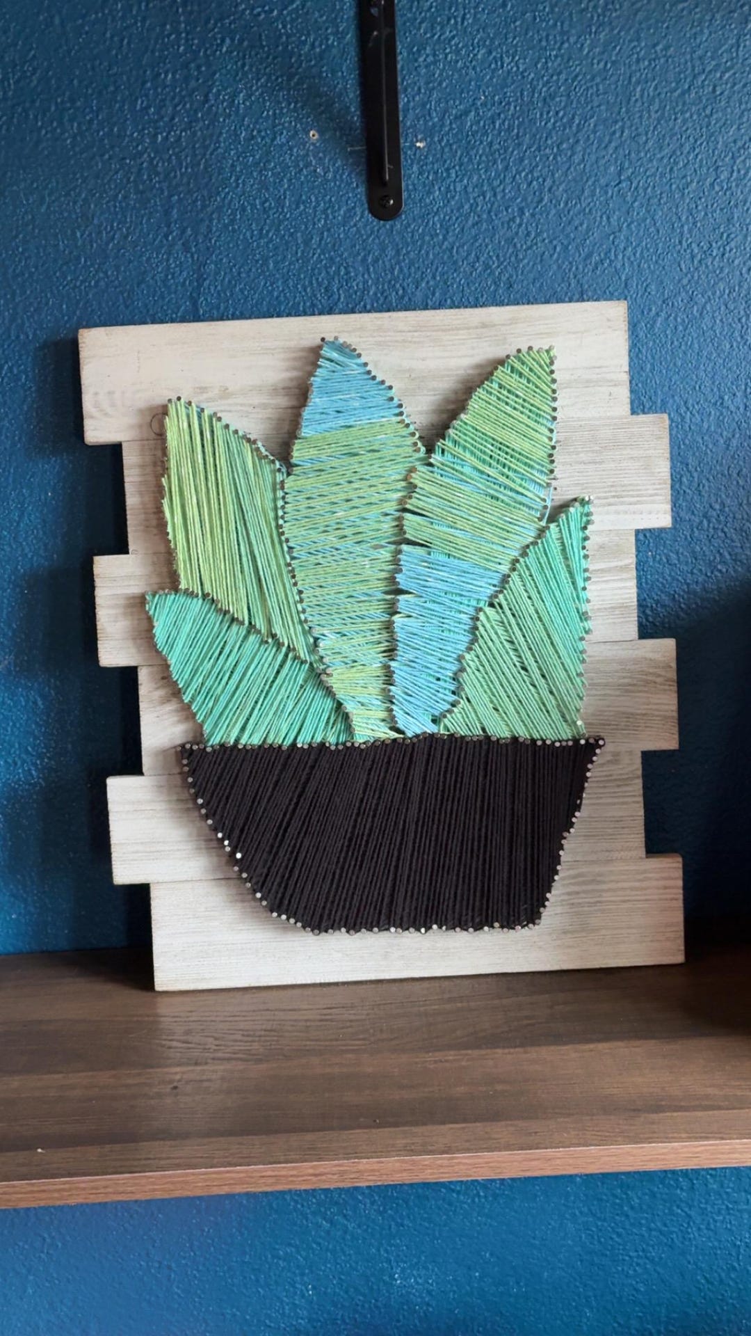 Succulent String Art - Etsy