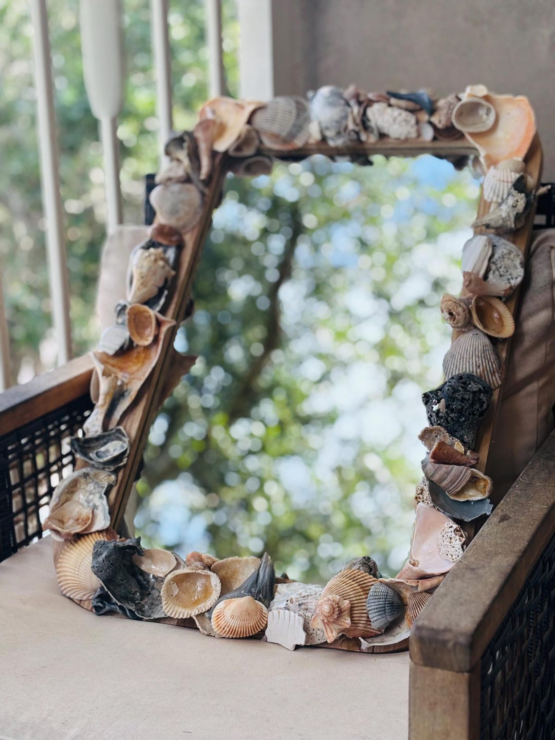 Shell Frame Mirror: Natural Wood & Beach Shells - 26x18 - Etsy