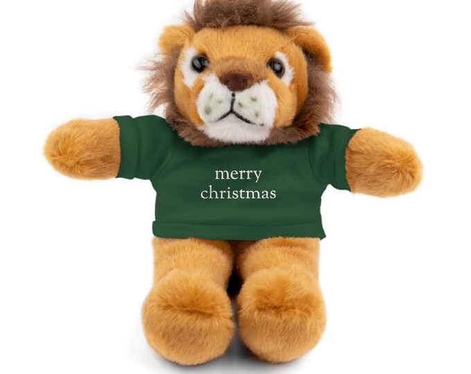 Brown Teddy Bear Stuffed Animal, Tee Shirt Plush Bear | Personalized ...