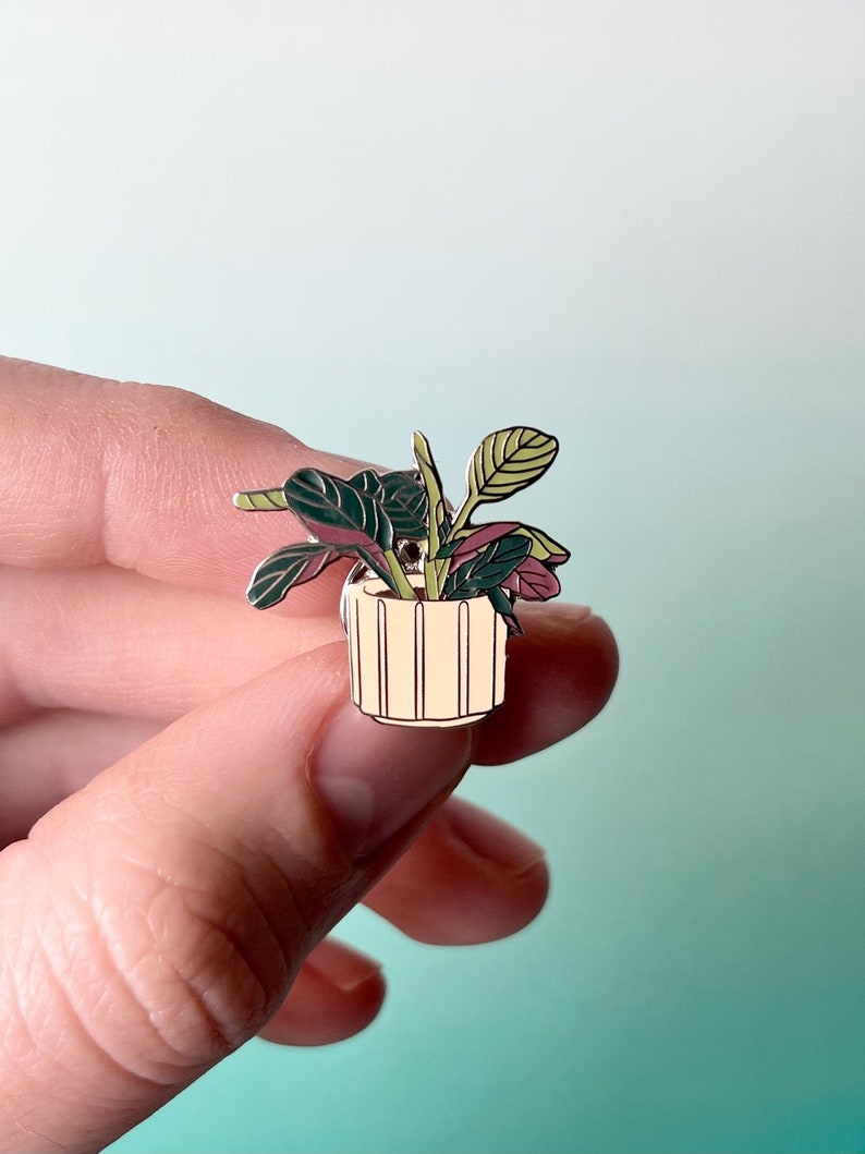 Maranta Enamel Pin Plant Pin Plant Plant Gift Succulent - Etsy