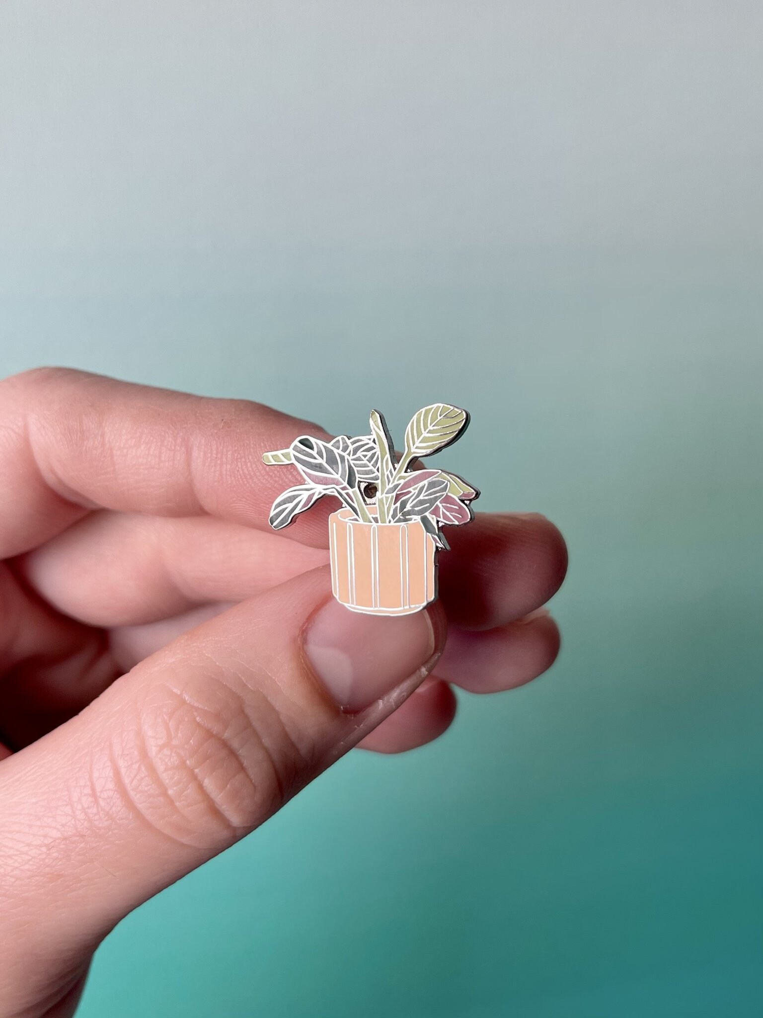 Maranta Enamel Pin Plant Pin Plant Plant Gift Succulent | Etsy