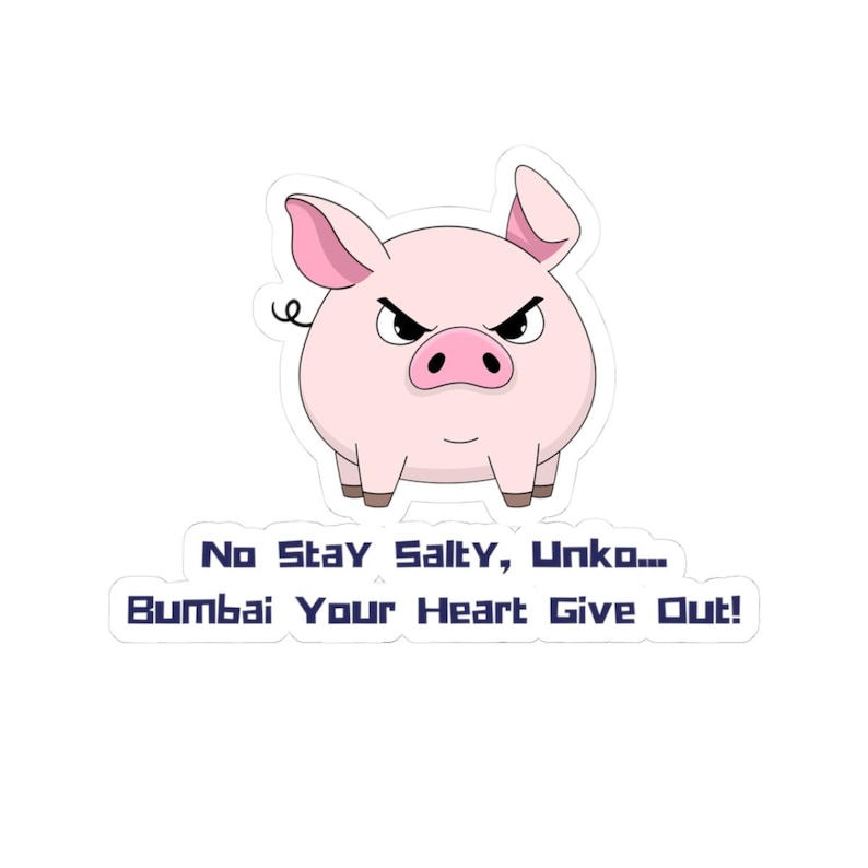 Funny Pig Sticker, No Stay Salty Series, Laptop Decal - Etsy