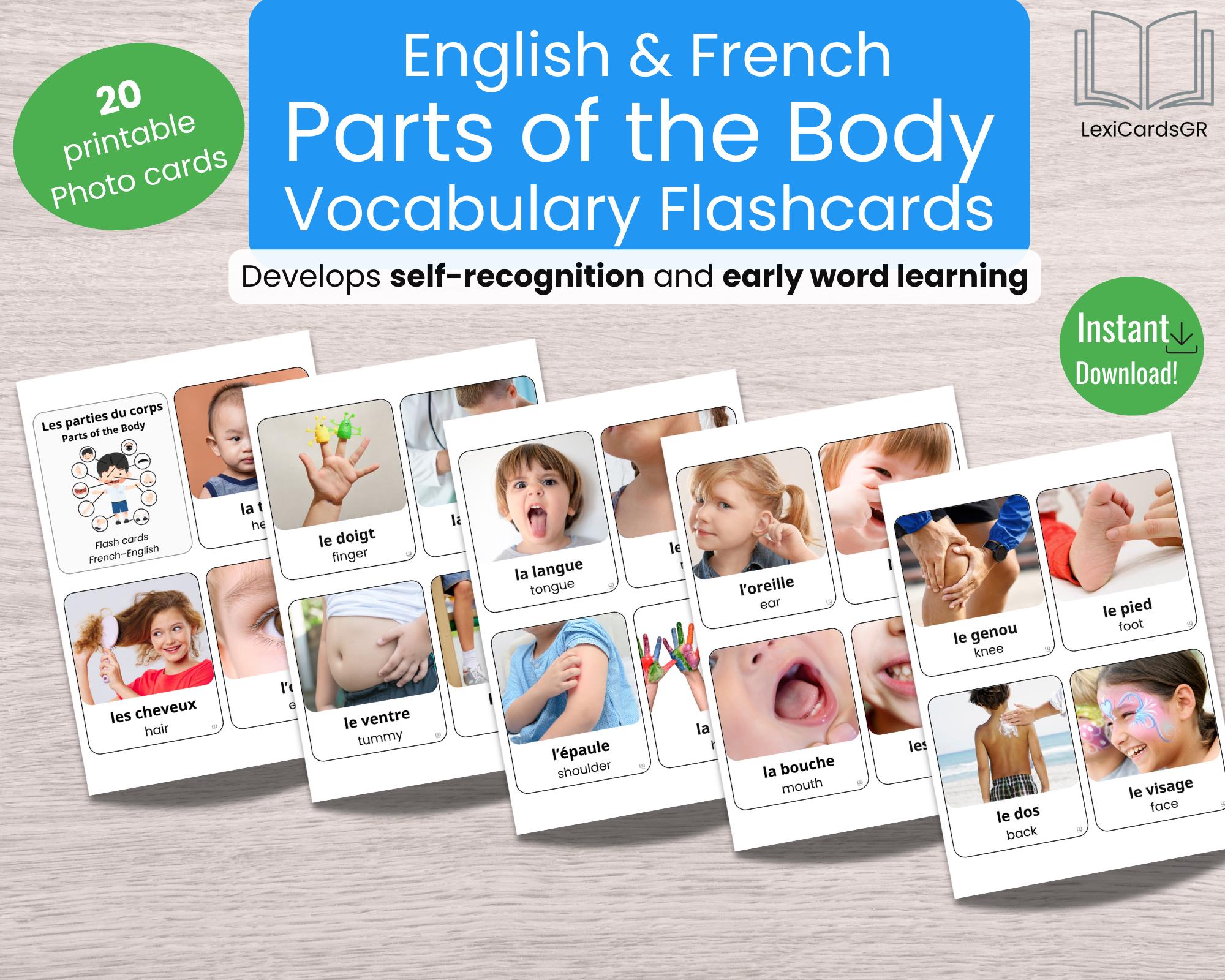 French English Flashcards Printable – Bilingual Body Parts Vocabulary ...
