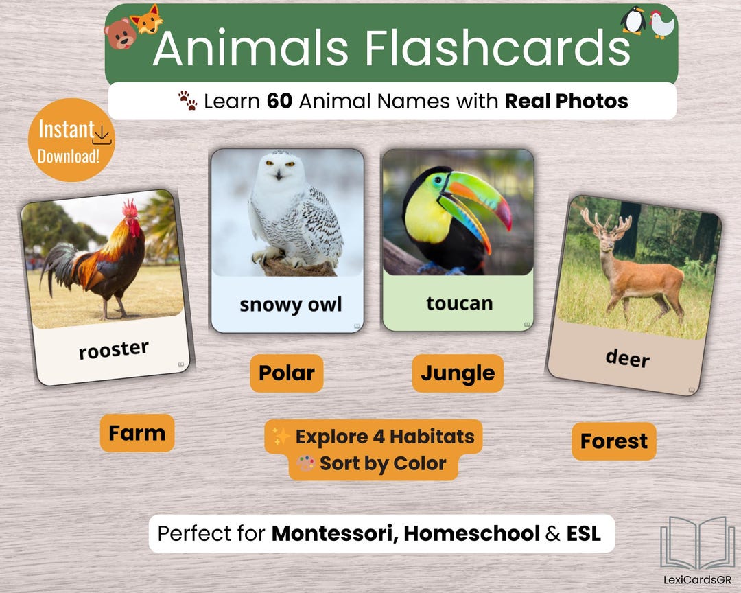Tarjetas de vocabulario Montessori con fotos reales de animales para ...