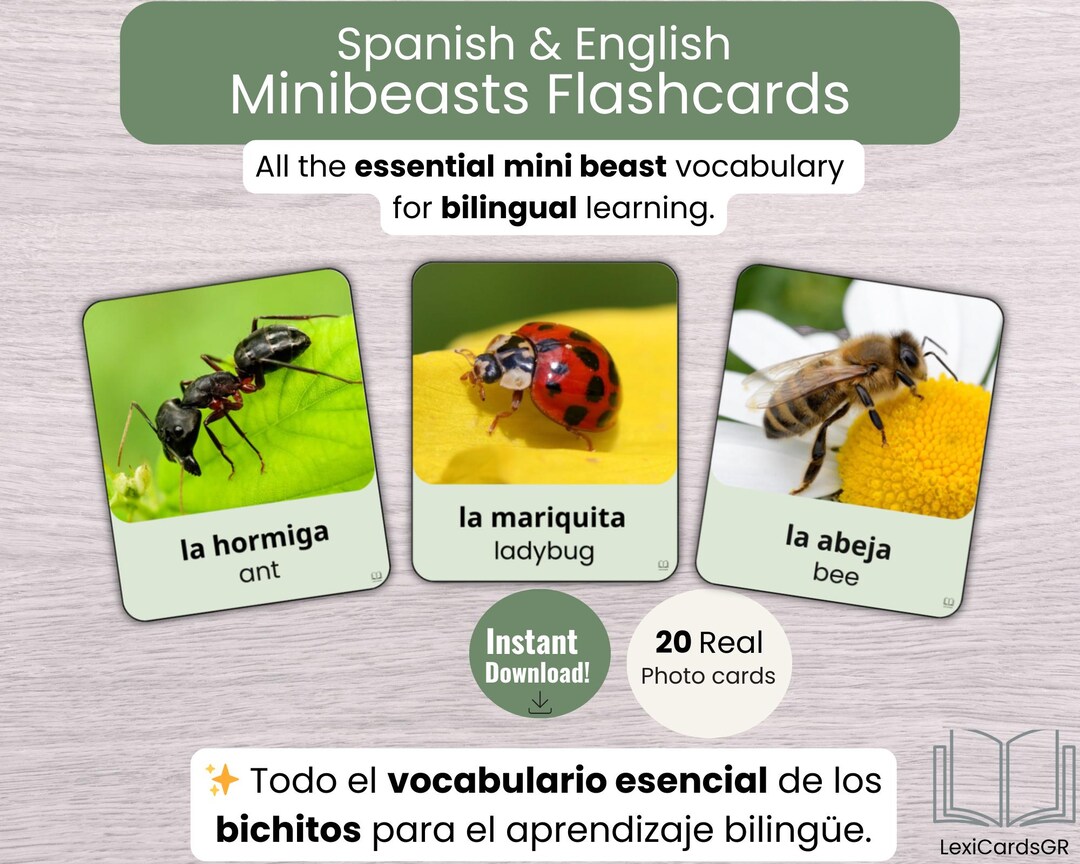 Bilingual Insect Flashcards Spanish English, Bug & Garden Vocabulary ...
