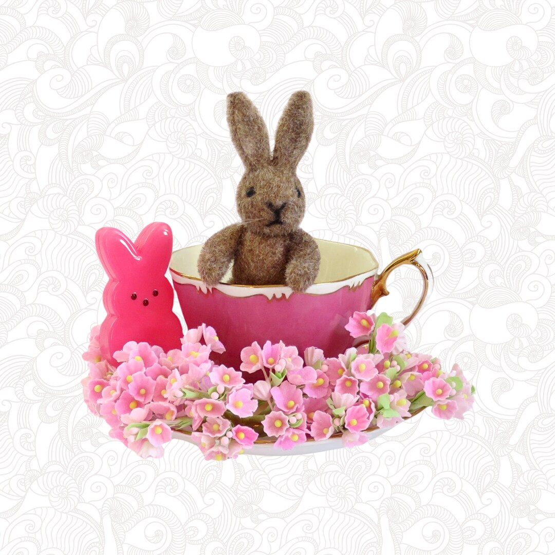 Vintage Pink Royal Albert Tea Cup and Saucer, Cup and Saucer Set, Gift ...