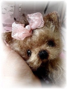 Sewing Pattern for 5.5 Inch Yorkie Dog PDF | Etsy