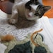 Medieval Gryphon Needle Felting Kit Dragon Tapestry Craft Kit Beginners ...
