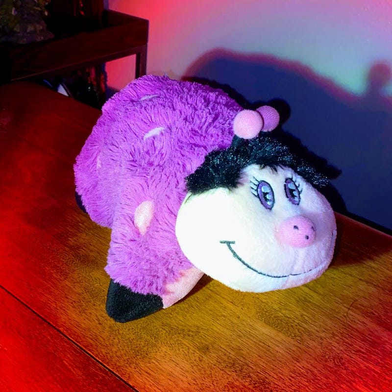 Ladybug Pillow Pet - Etsy