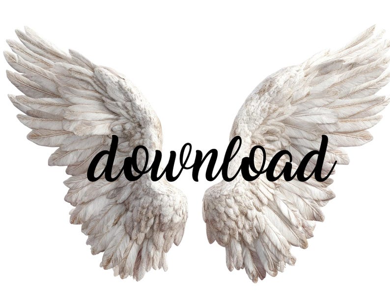 DOWNLOAD Angel Feather Wings Bible Tip-in Vellum Sheets Set of 2 ...