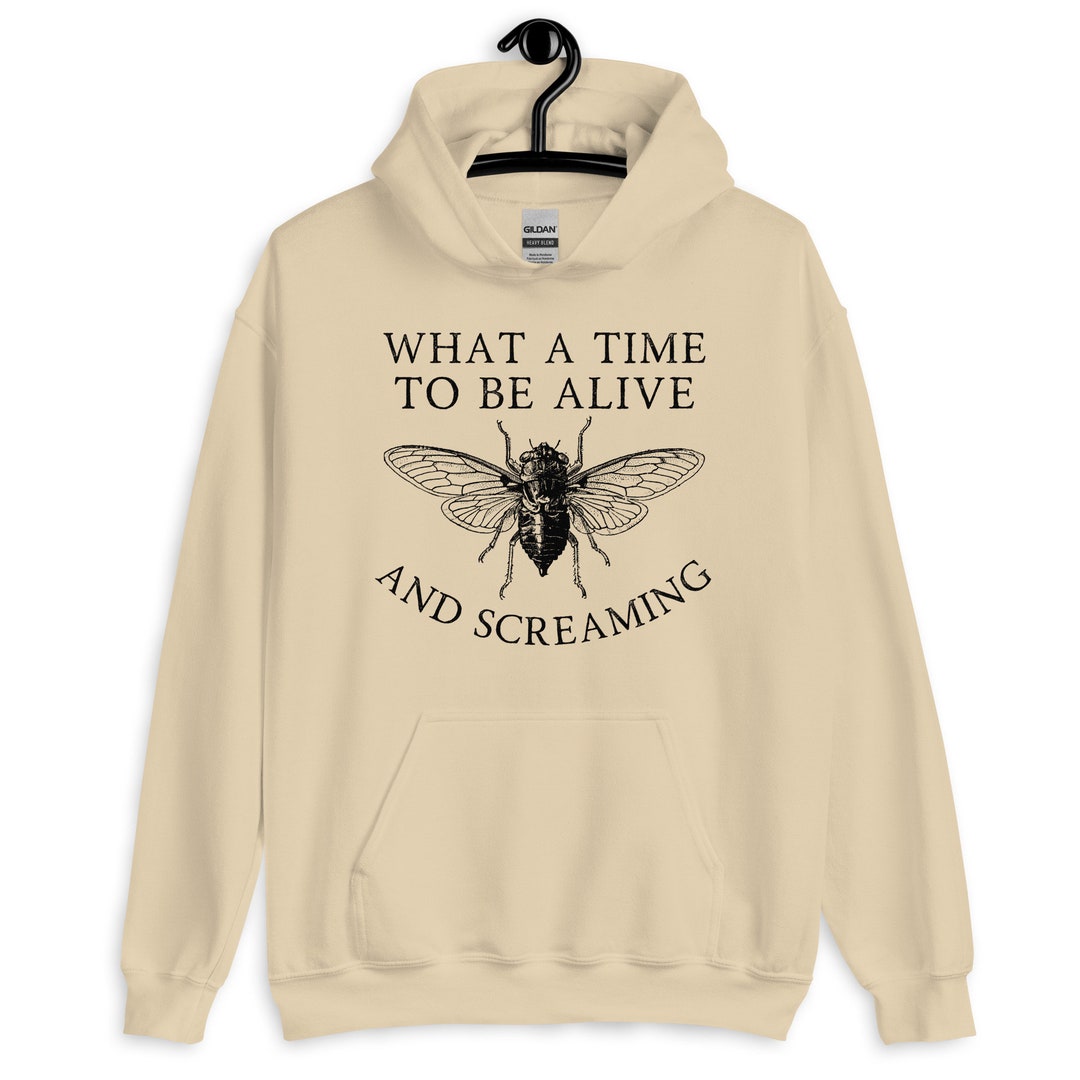 Screaming Cicada Hoodie Unisex, Cicadas 2024 Hoodie, What a Time to Be ...