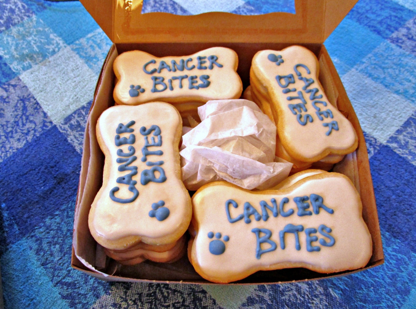 Vet Thank You Bones Cancer Bites - Etsy