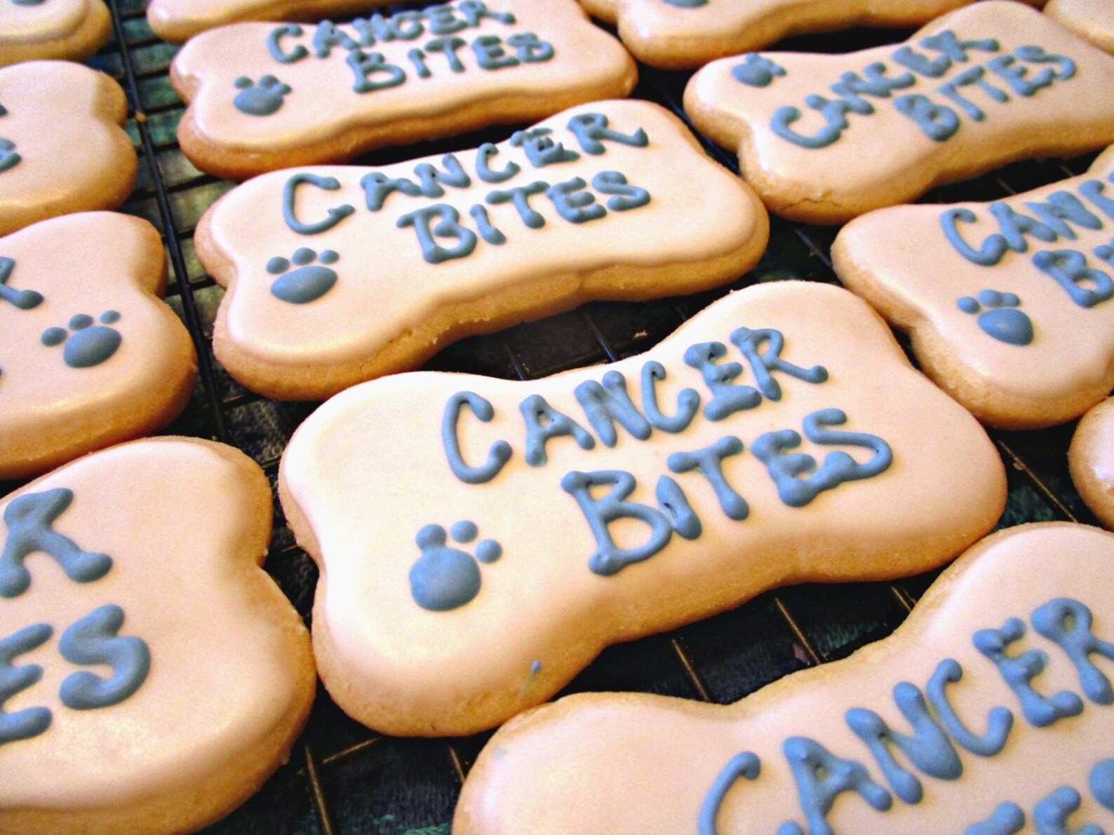 Vet Thank You Bones Cancer Bites - Etsy