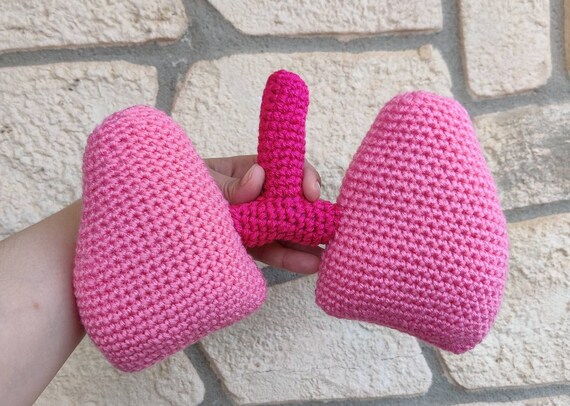 Lungs Crochet Lungs Anatomical Lungs Human Organs Plush | Etsy