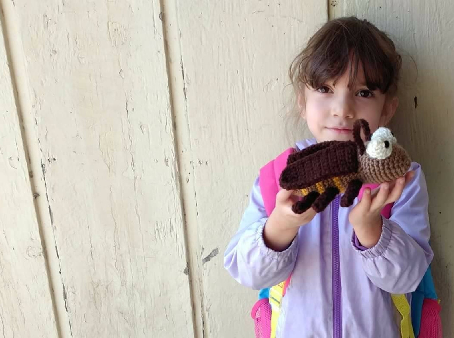 Cockroach Crochet Roach Insect Stuffed Plush Cockroach - Etsy