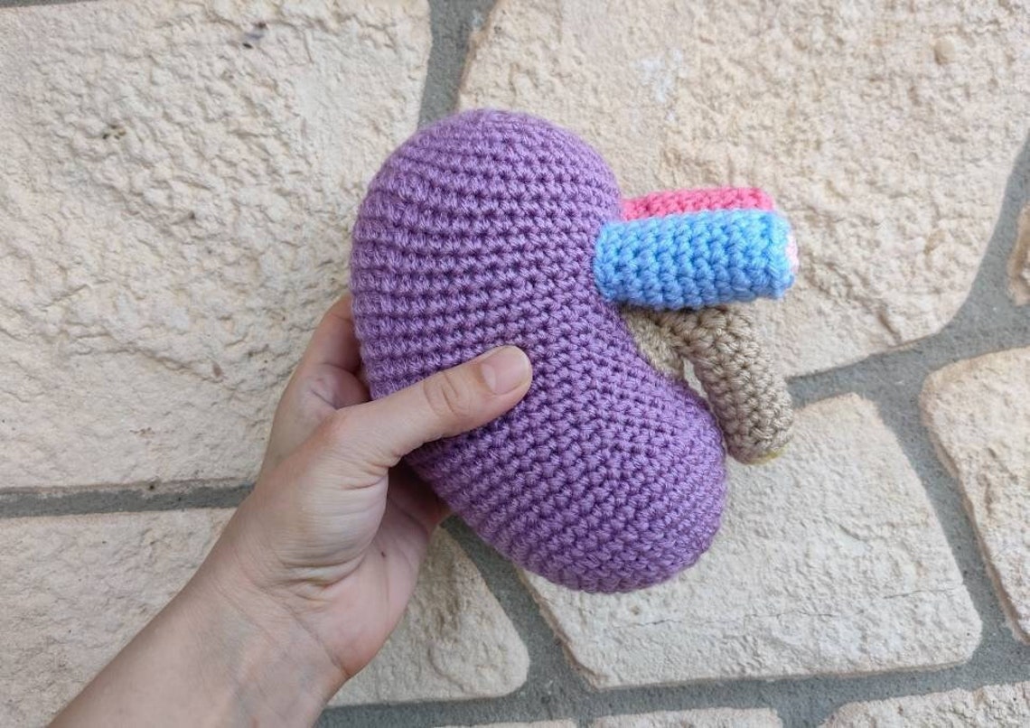 Kidney Crochet Organ Human Body Automatical Anatomy - Etsy