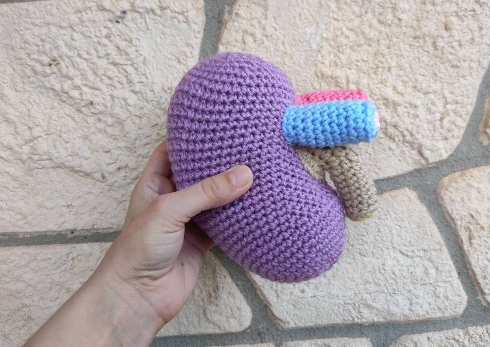 Kidney Crochet Organ Human Body Automatical Anatomy - Etsy