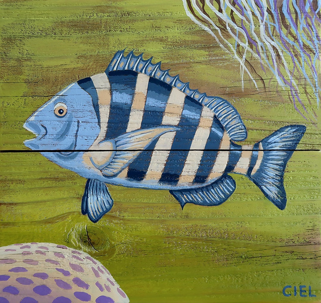Sheepshead – Giclee Print - Etsy