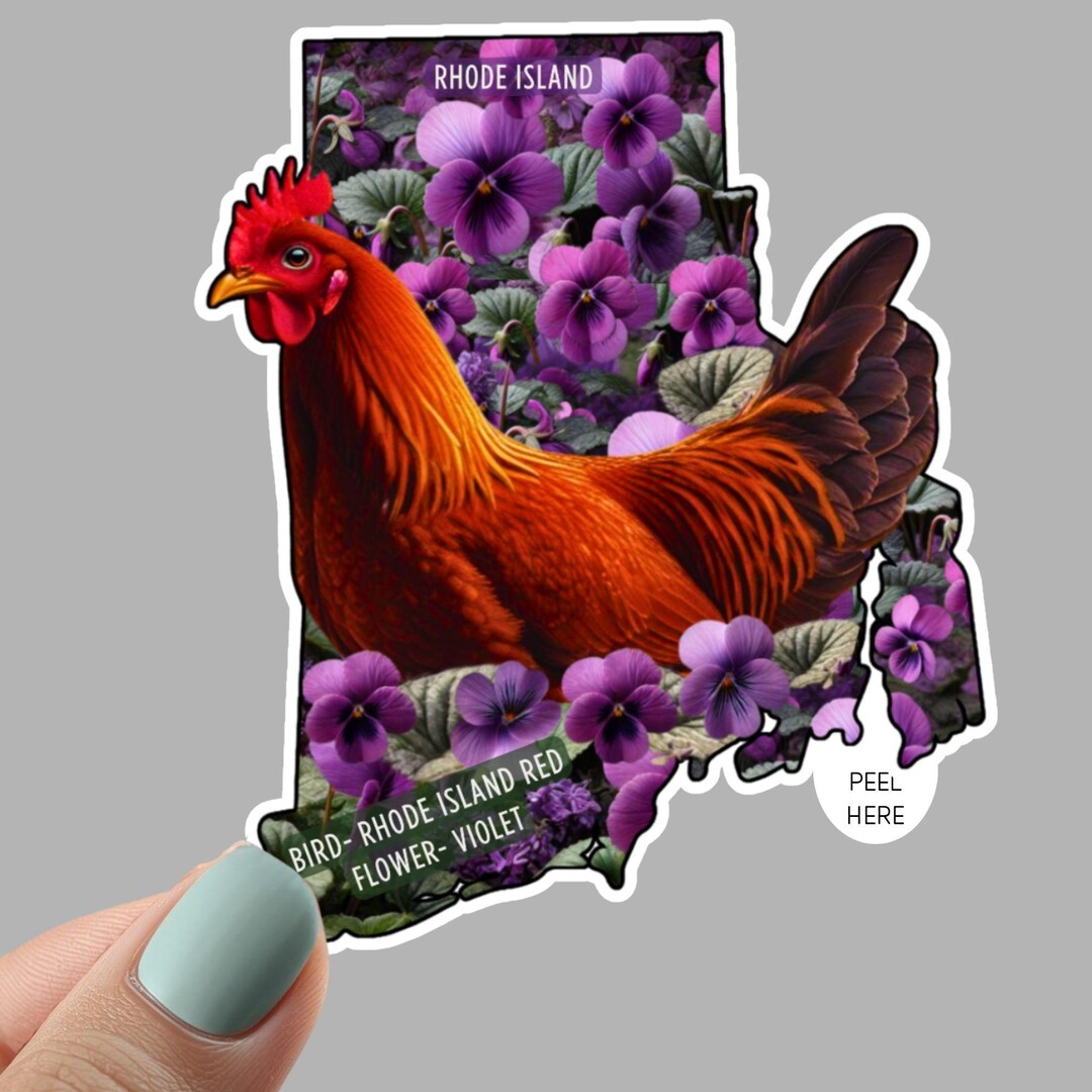 Rhode Island Map Sticker, Rhode Island State Bird & Flower Sticker. - Etsy