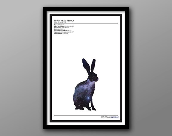 Epic Hare // Zoological Universe Poster Series // Minimalist | Etsy