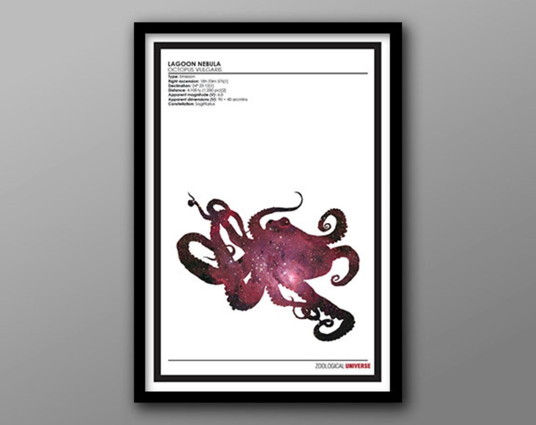 Space Octopus // Zoological Universe Poster Series // - Etsy