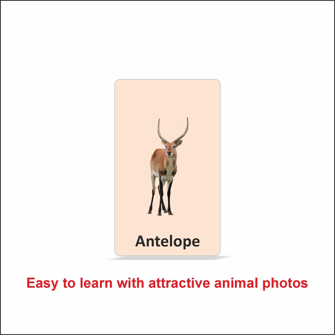 Animal Alphabet Flashcards: Montessori Learning Cards (PDF Download - Etsy