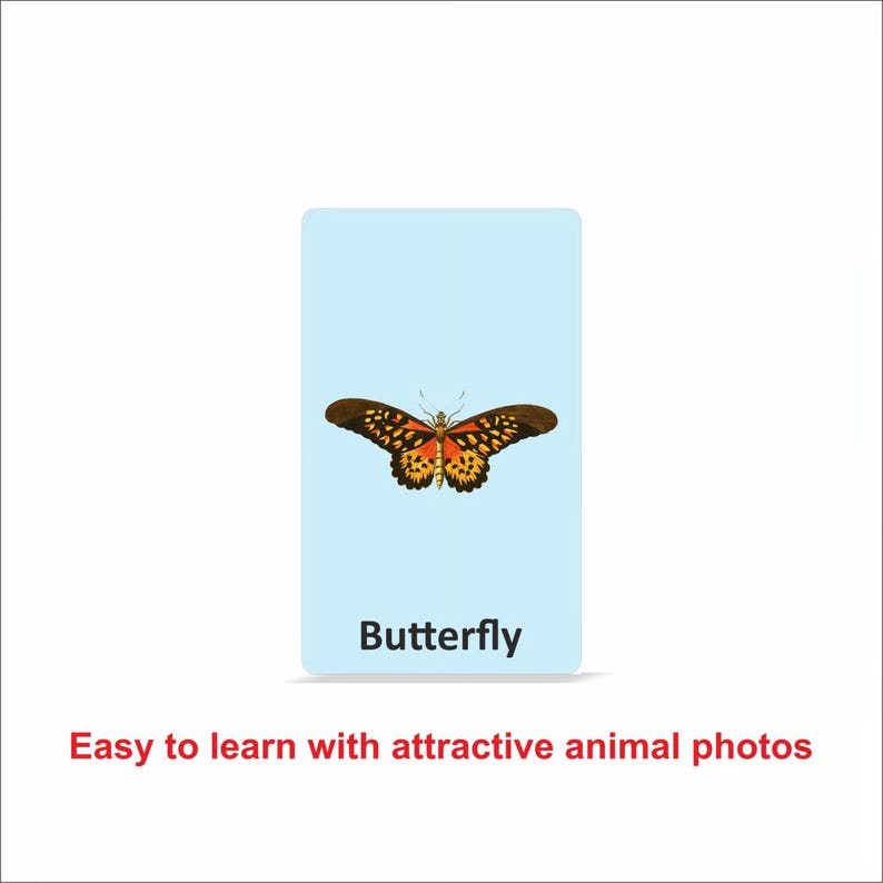 Animal Alphabet Flashcards: Montessori Learning Cards (PDF Download - Etsy