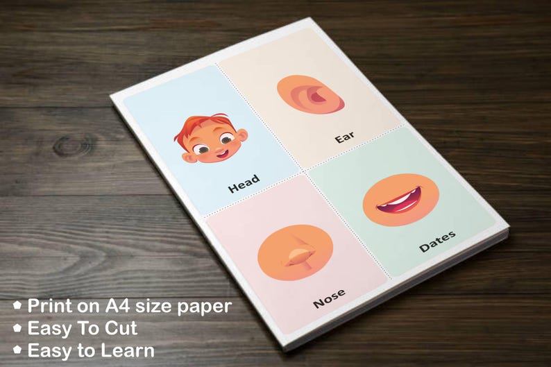 Human Body Parts Flashcards: Montessori Learning Cards (PDF Download - Etsy