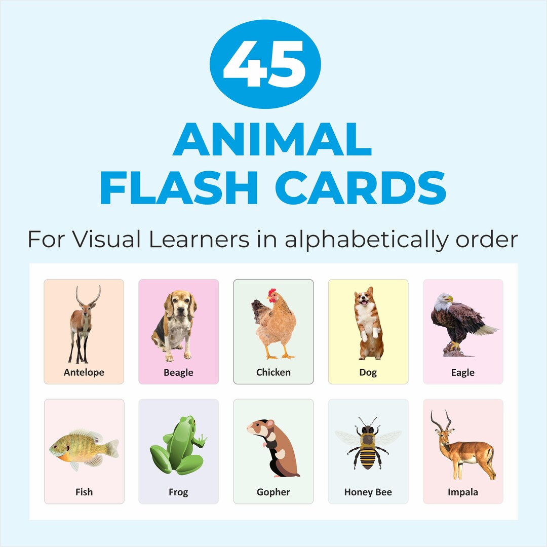 Animal Alphabet Flashcards: Montessori Learning Cards (PDF Download - Etsy