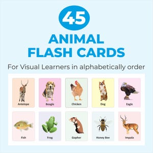 Animal Alphabet Flashcards: Montessori Learning Cards (PDF Download - Etsy