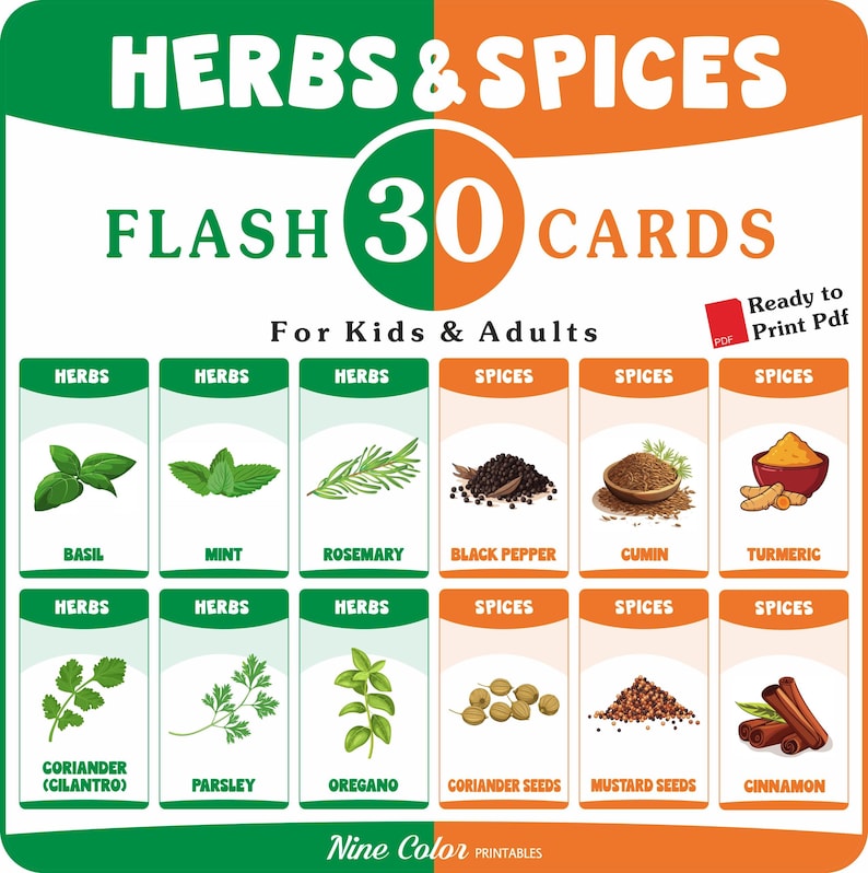 Herbs & Spices Flashcards | Montessori Kitchen Learning (digital ...