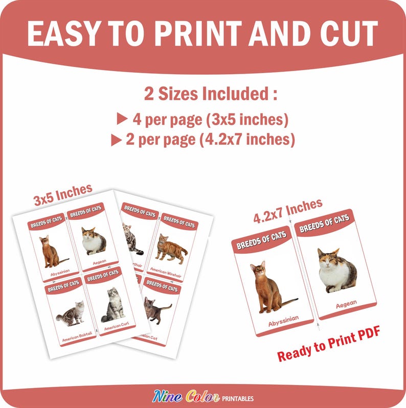Cat Breeds Flashcards | 79 Printable Cards, Montessori Education (PDF ...