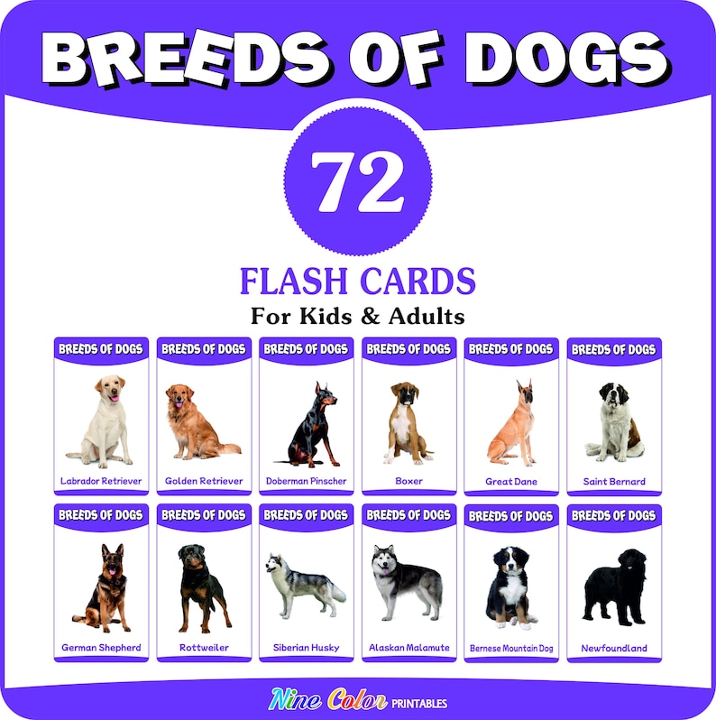 Dog Breeds Flashcards | 72 Animal Learning Cards (PDF) - Etsy Canada