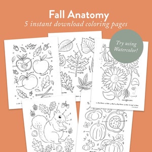 Fall Coloring Pages, Kids Autumn Anatomy Printable, Apple, Pumpkin ...