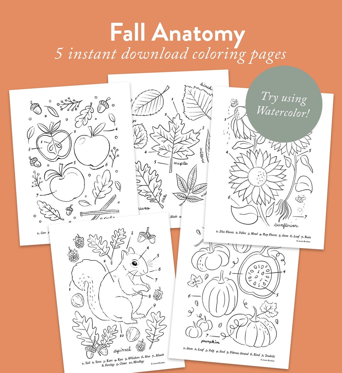Fall Coloring Pages, Kids Autumn Anatomy Printable, Apple, Pumpkin ...